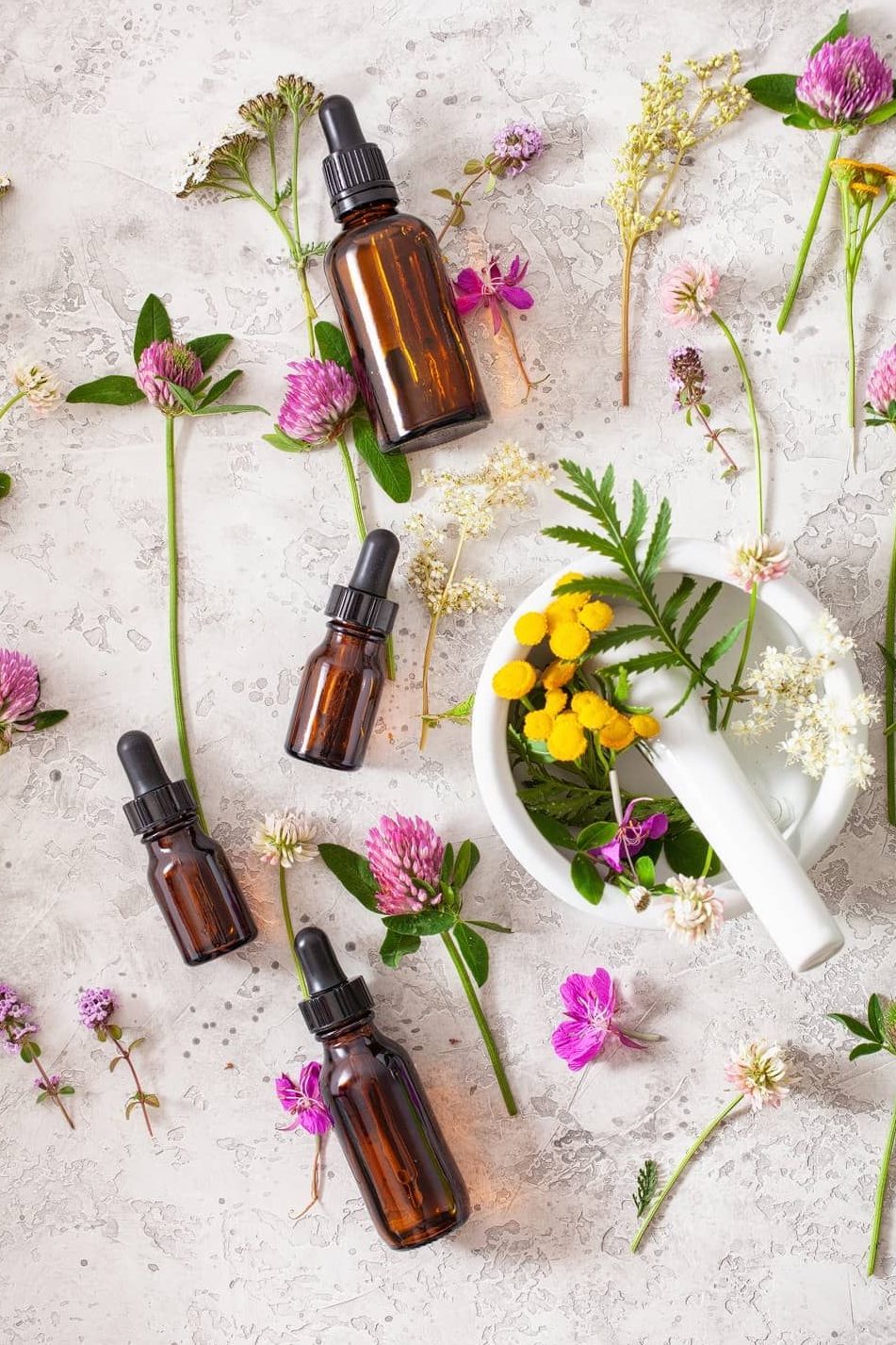 KIMEN - THẢO MỘC KIMEN