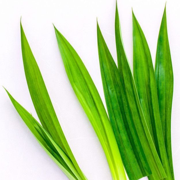 KIMEN - Pandan flavour - KIMEN